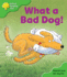 Oxford Reading Tree: Stage 2: Storybooks: What a Bad Dog! by Roderick ...